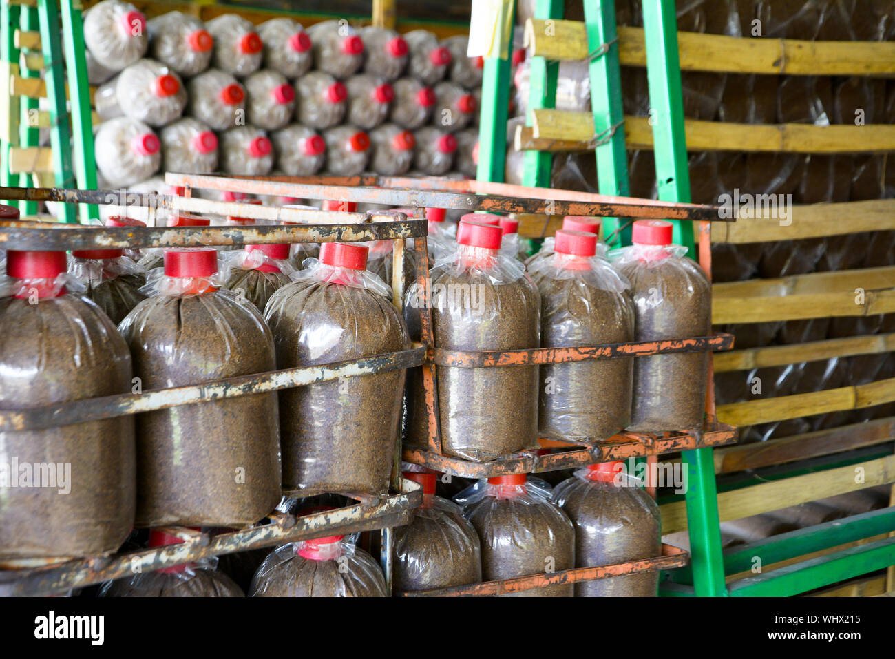 Food shelves hi-res stock photography and images - Alamy
