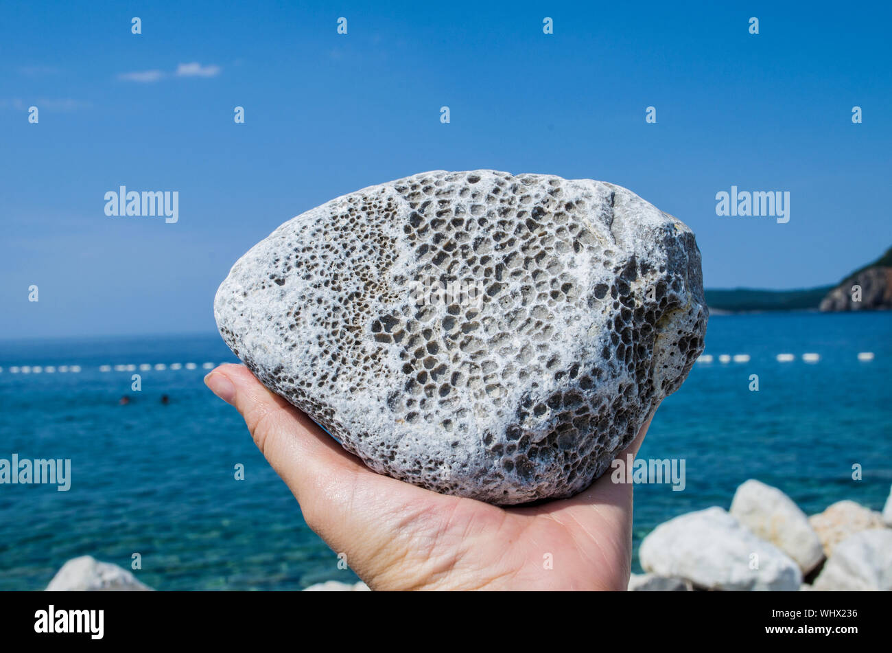 Natural pumice stone in hand on sea background. Natural resources for ...