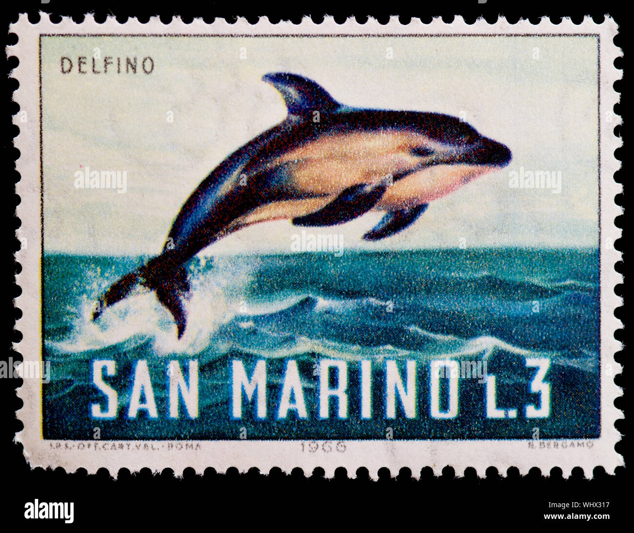 San Marino Postage Stamp - Marine Life Stock Photo - Alamy