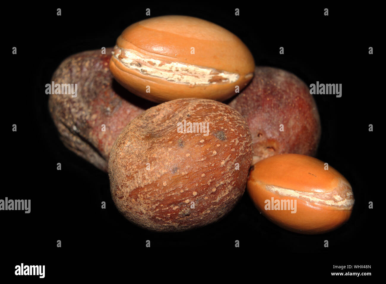Black nuts hi-res stock photography and images - Alamy