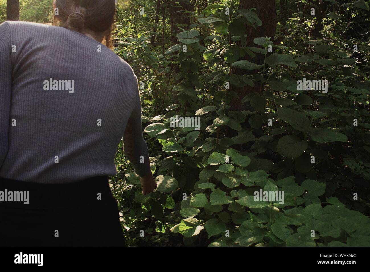 Short-haired female picking up green tree leaves from green forest to ...