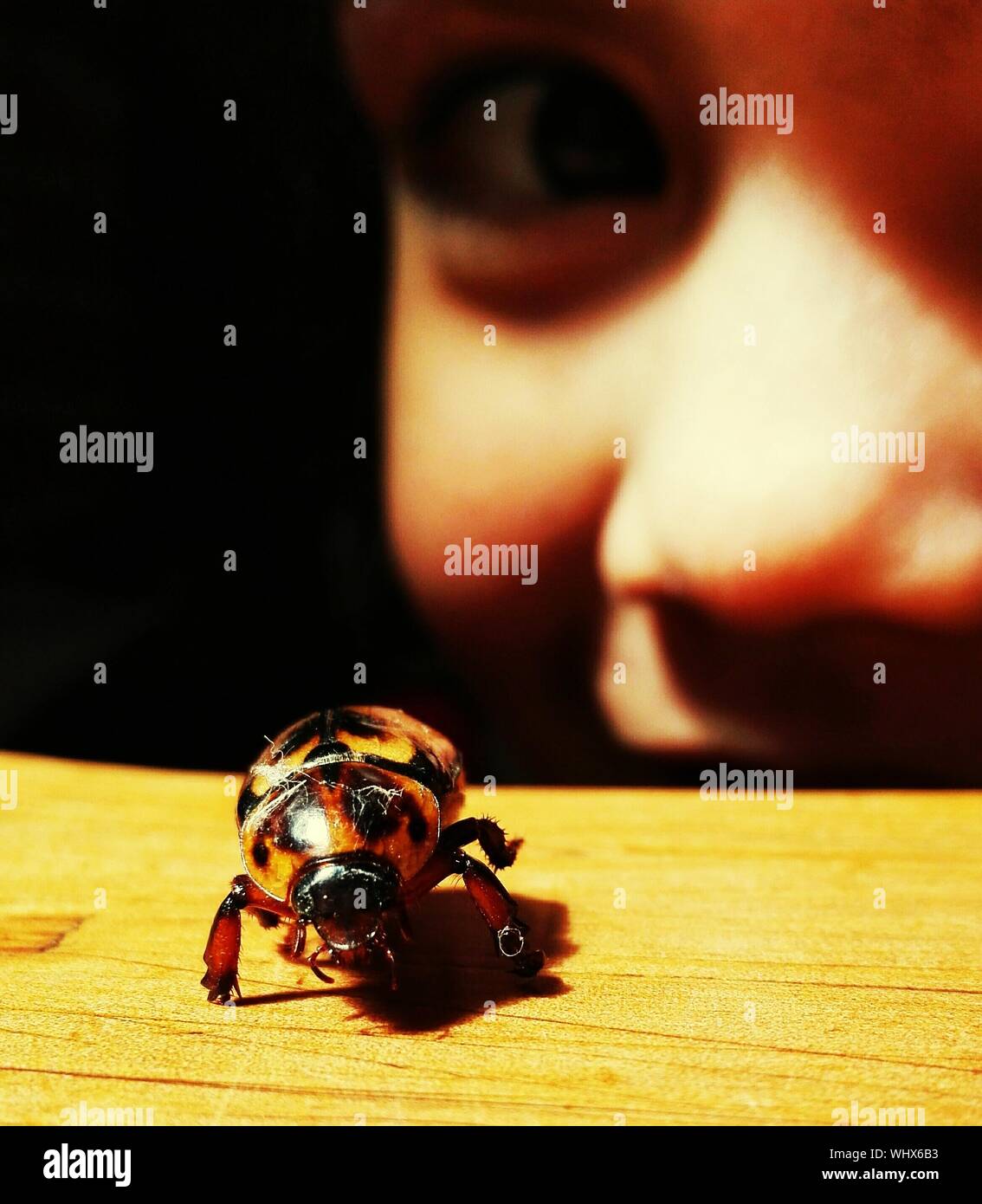 Beetle boy hi-res stock photography and images - Alamy