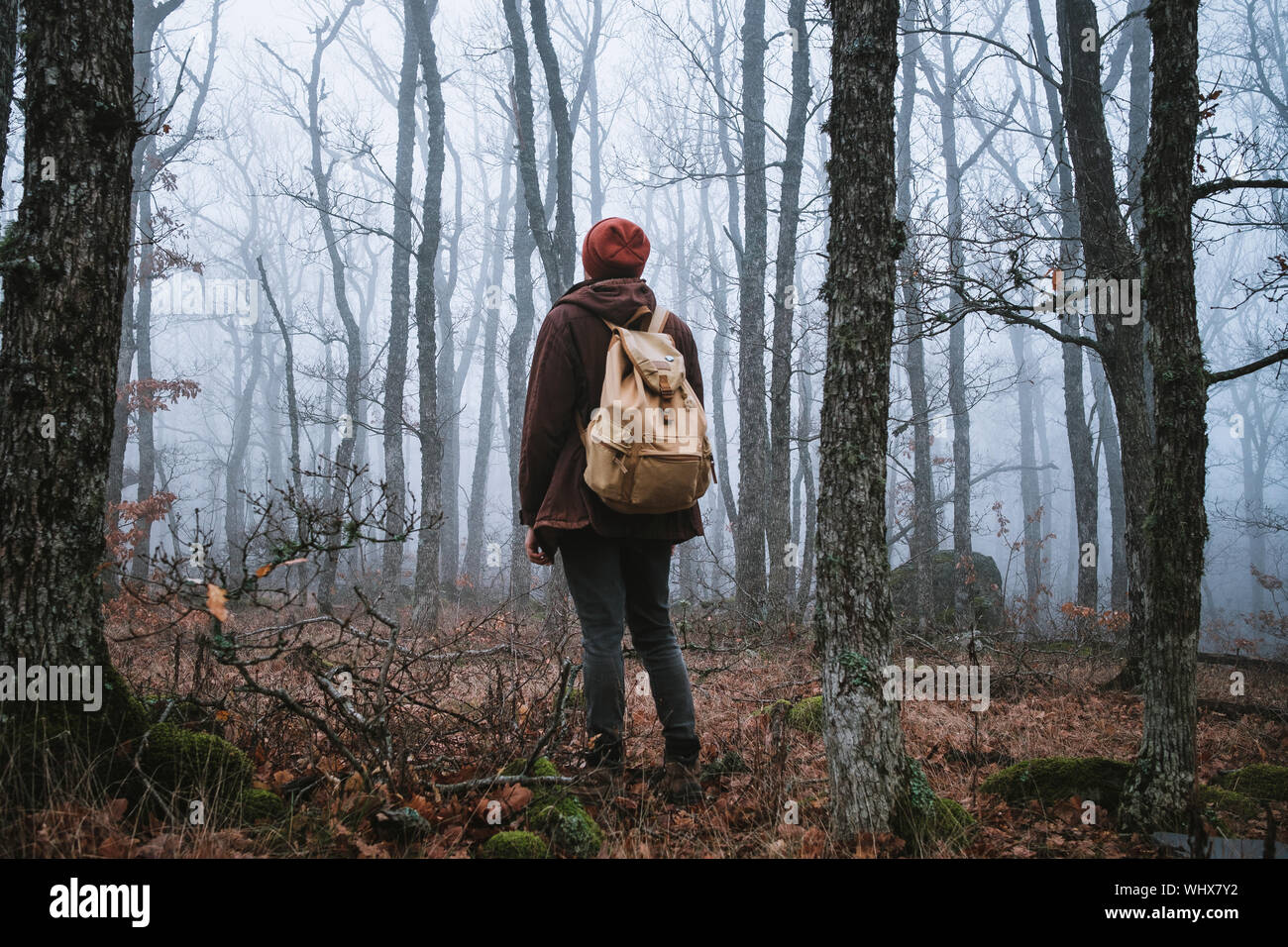 man walking on a dark path through a spooky forest. Hipster with a ...