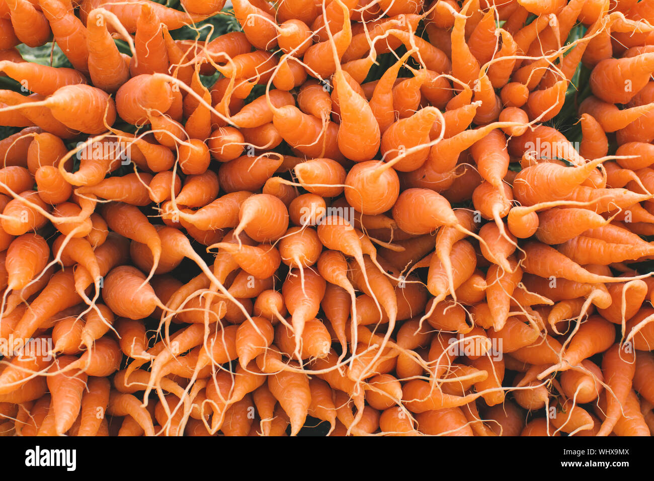 Full of carrots hi-res stock photography and images - Alamy