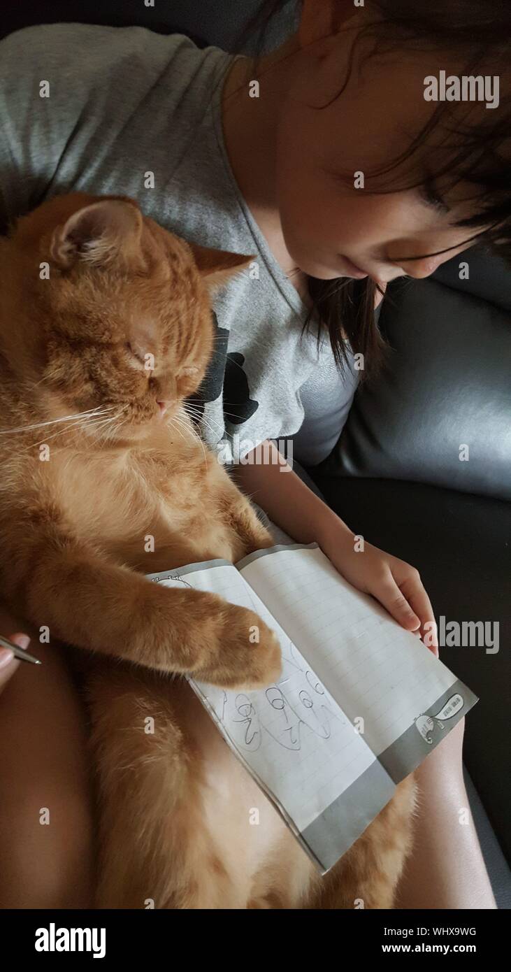 Indian girl with pet cat hi-res stock photography and images - Alamy
