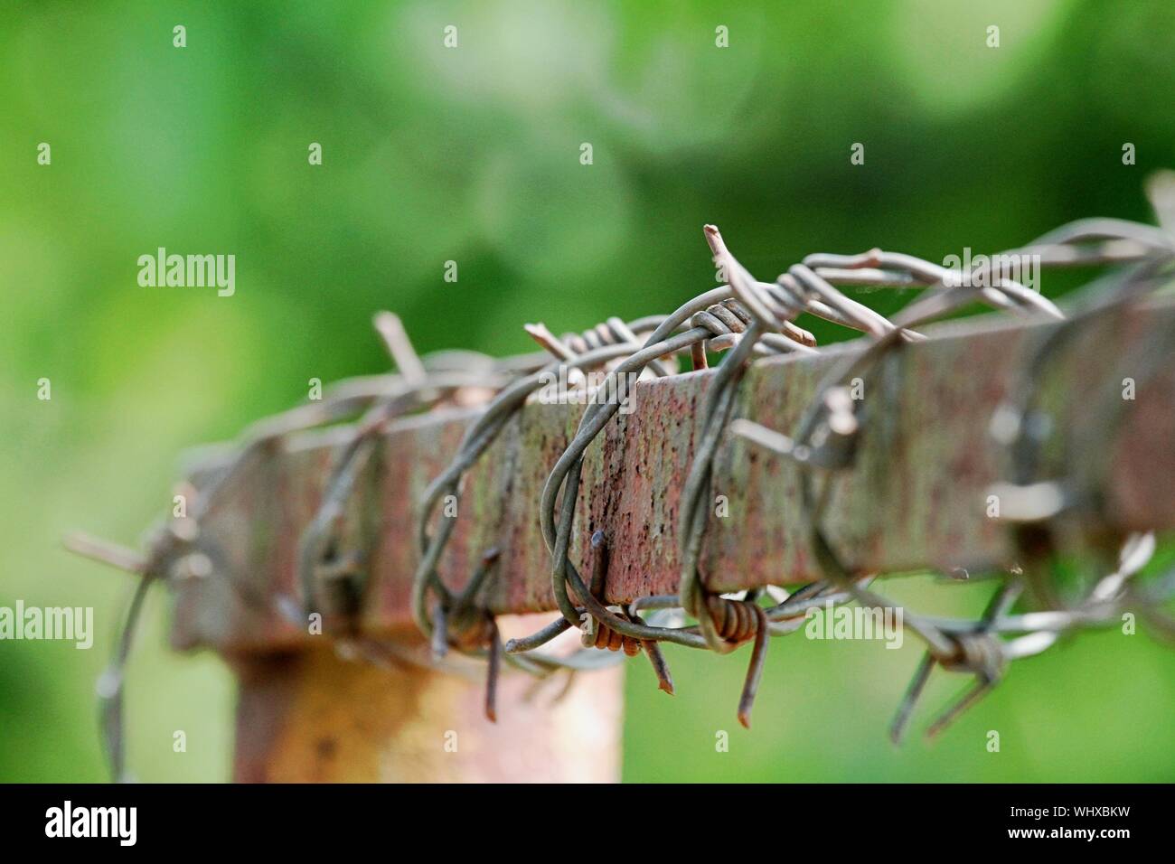 Tied to barbed wire fence hi-res stock photography and images - Alamy