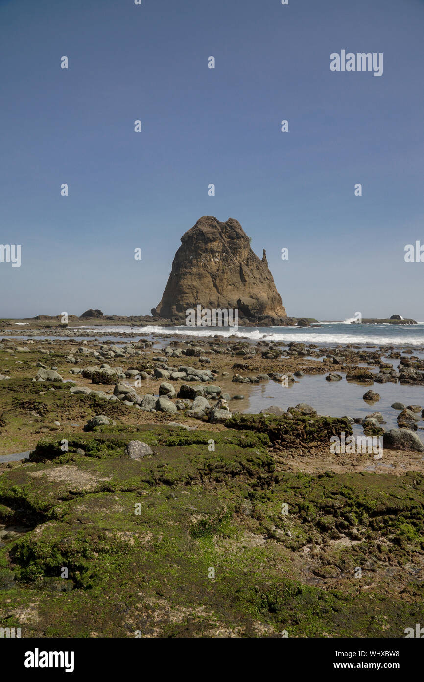 Papuma is the best beach near payangan in south Jember East Java ...