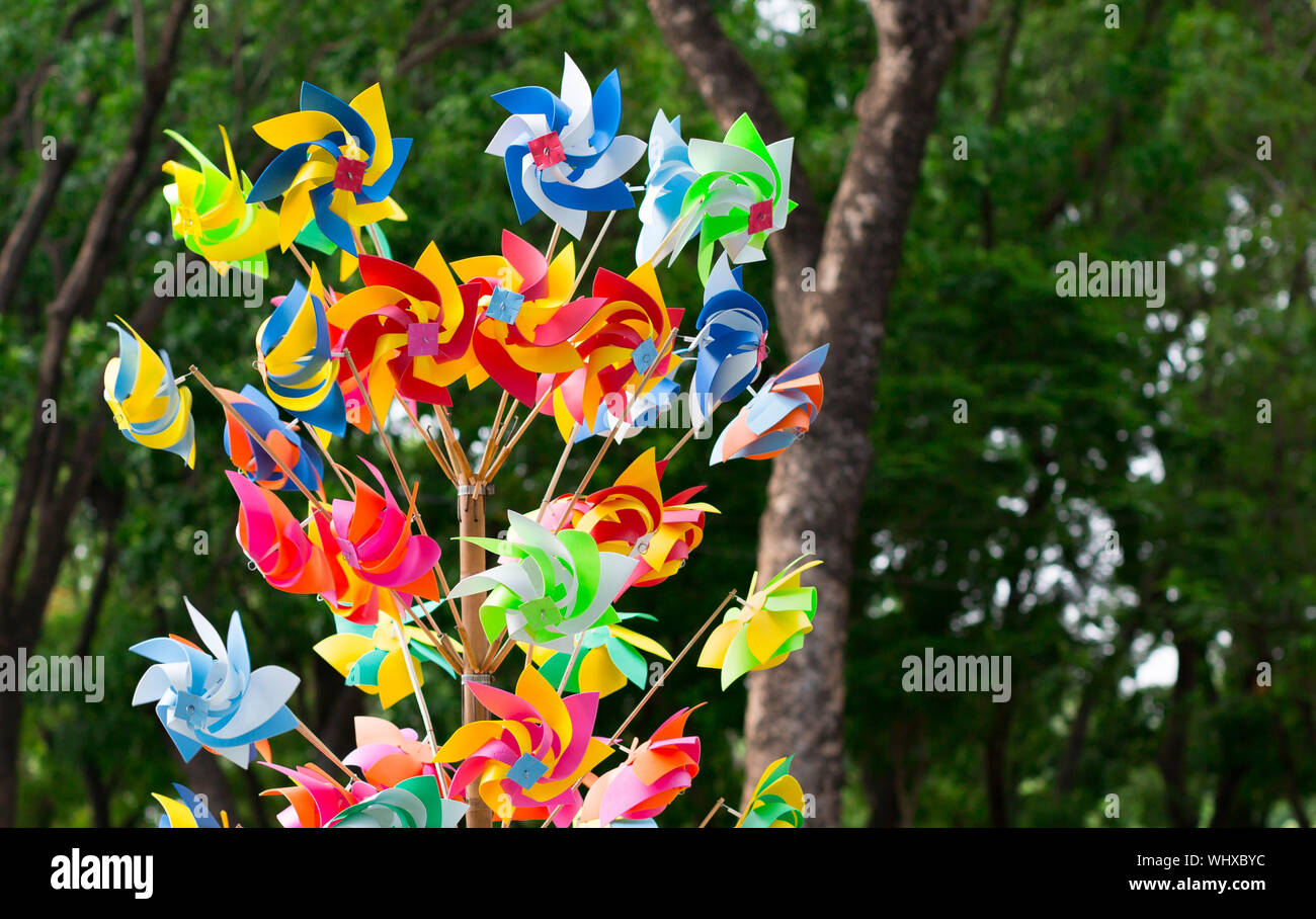 Close up shot at assorted colored pinwheels. Forest background Stock ...