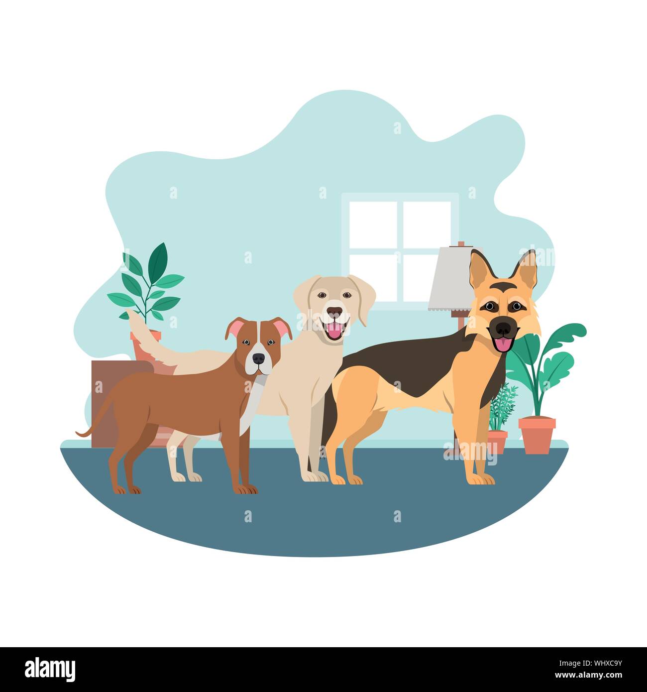 Dog ,living room Cut Out Stock Images & Pictures - Alamy