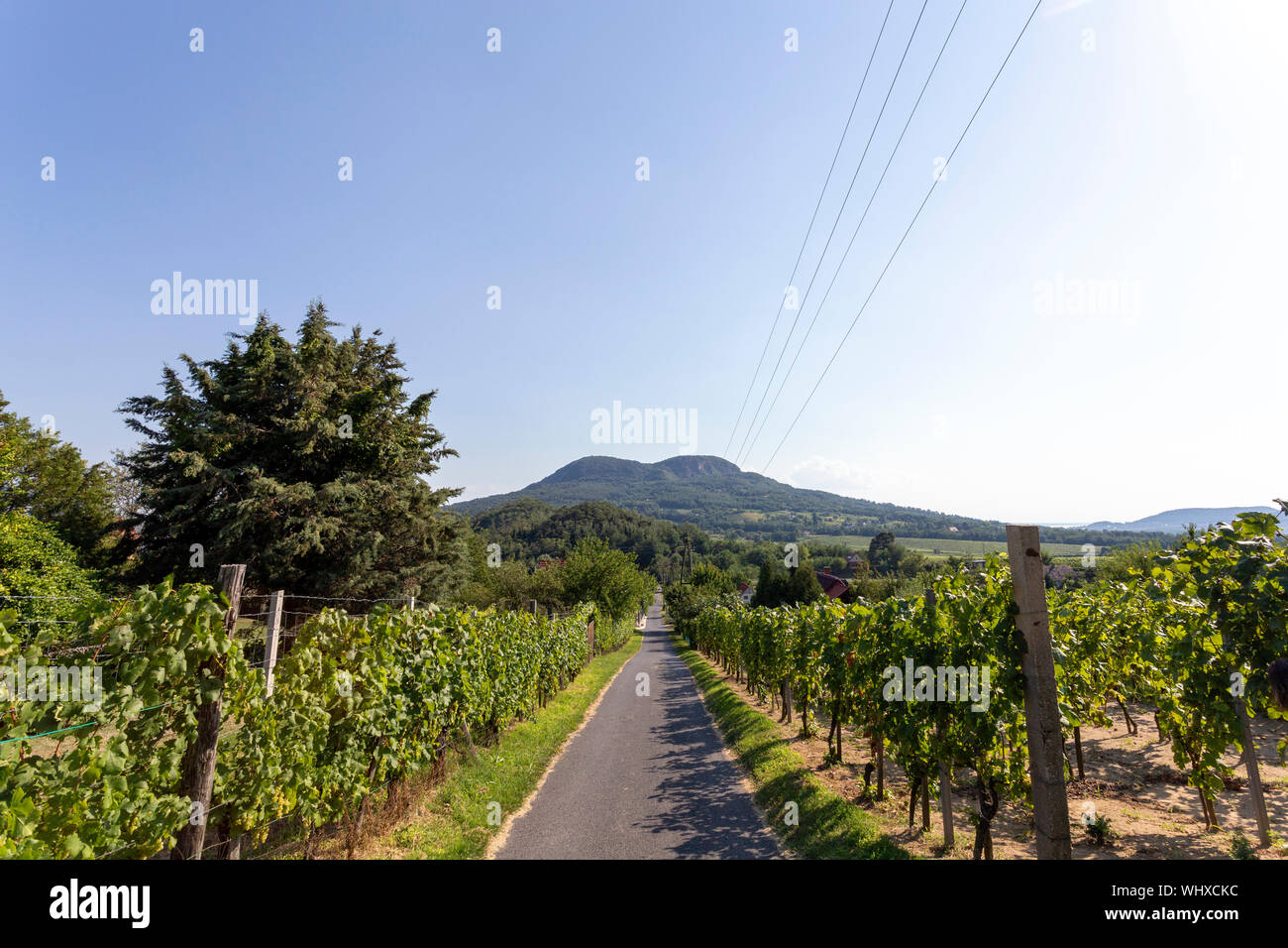 View of the Badacsony mountain from Gulacs, Hungary Stock Photo - Alamy
