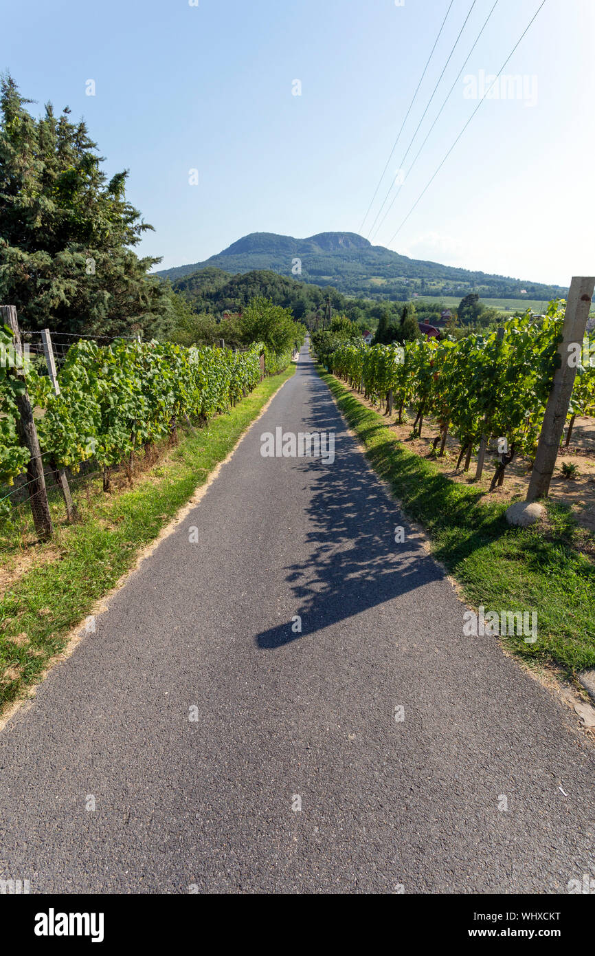 View of the Badacsony mountain from Gulacs, Hungary Stock Photo - Alamy