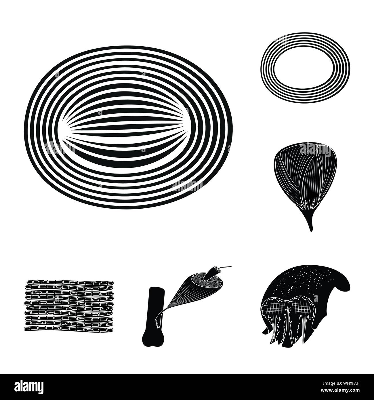 Vector design of human and body sign. Set of human and cells stock ...