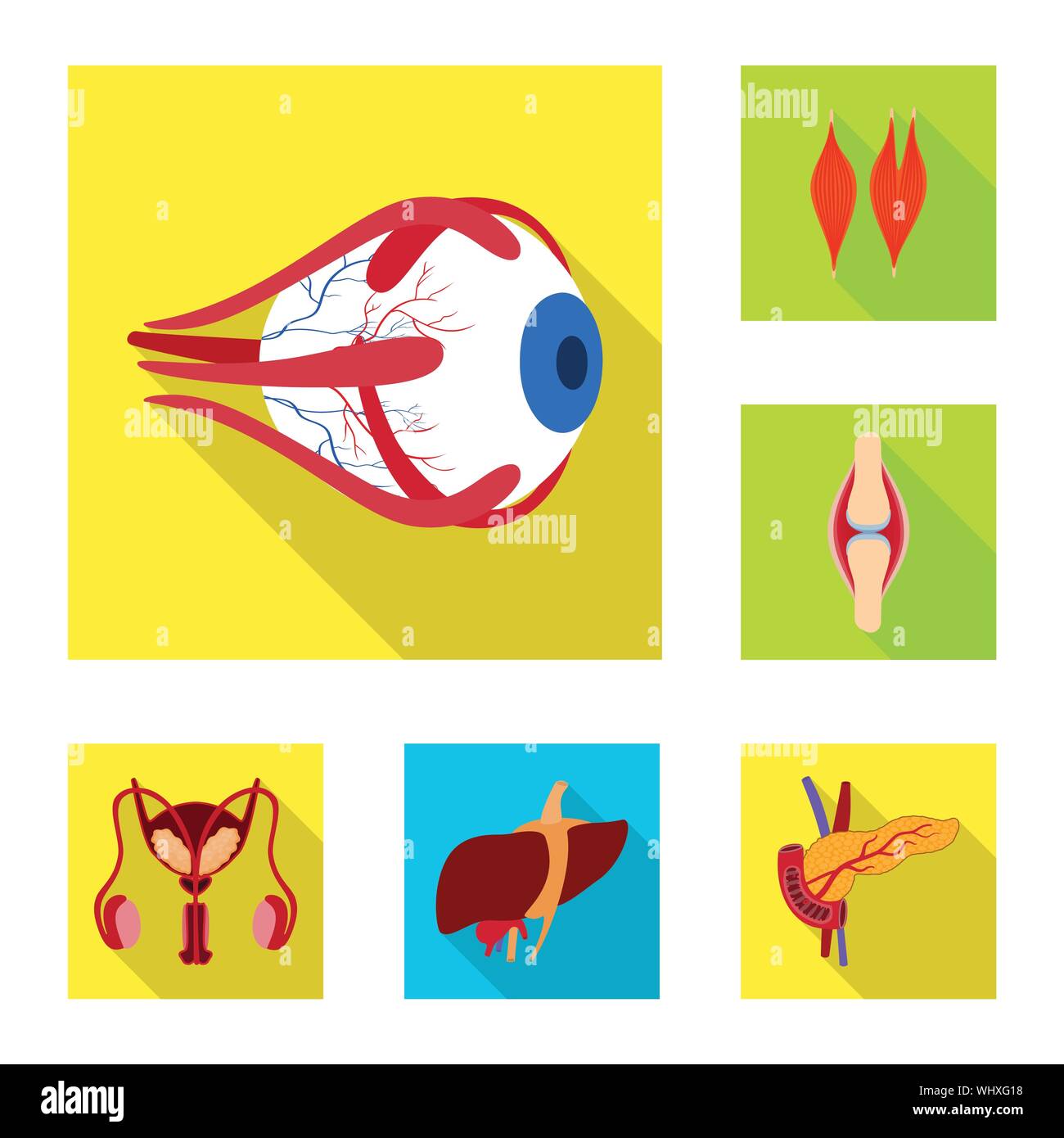 Vector Vectors Stock Vector Image & Art - Alamy