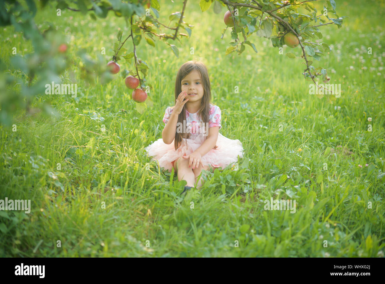 Food, fruit, vitamin. Child sit under apple tree, vitamin. Health ...