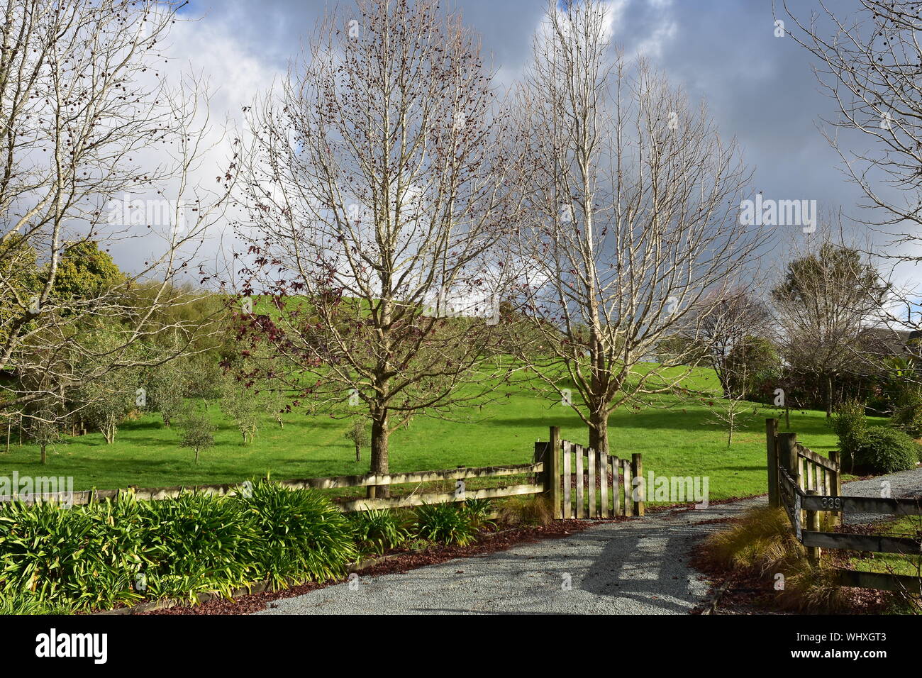 Open gate leading path open hi-res stock photography and images - Alamy