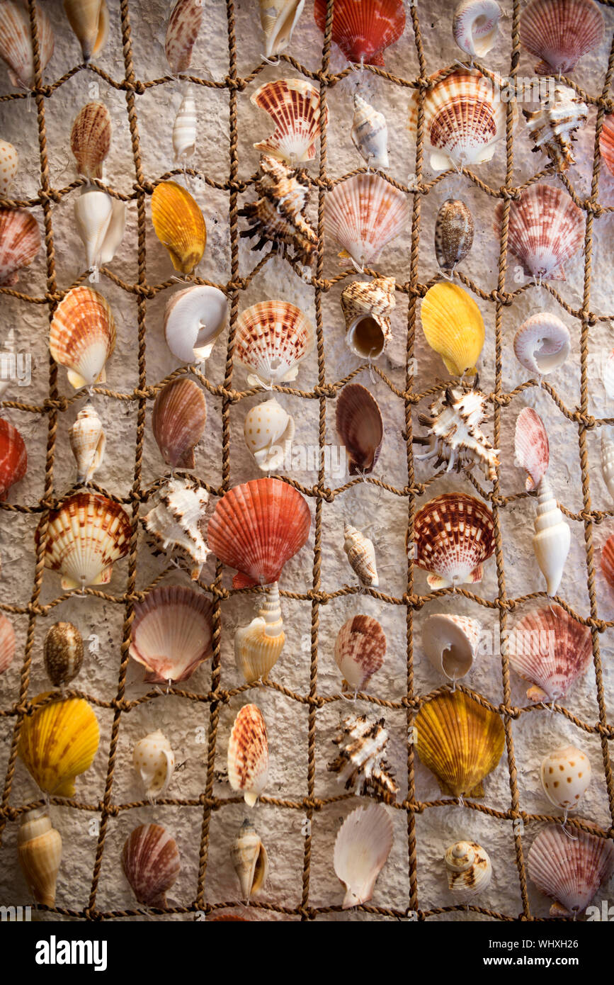 Sea decor and design concept. Network with beautiful seashells as decor ...