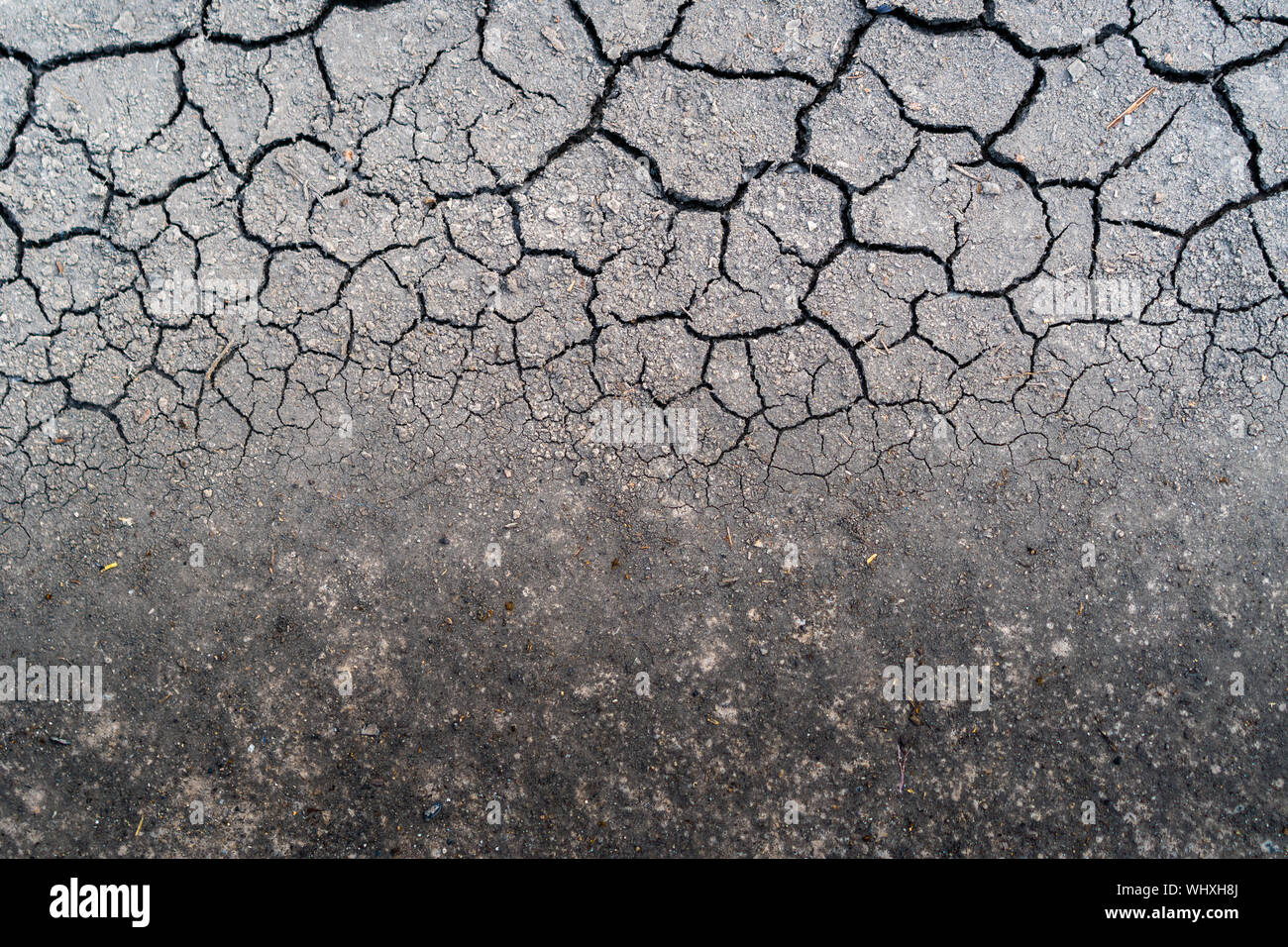 Dry soil after rain is not a long time. Top View Drought Stock Photo ...