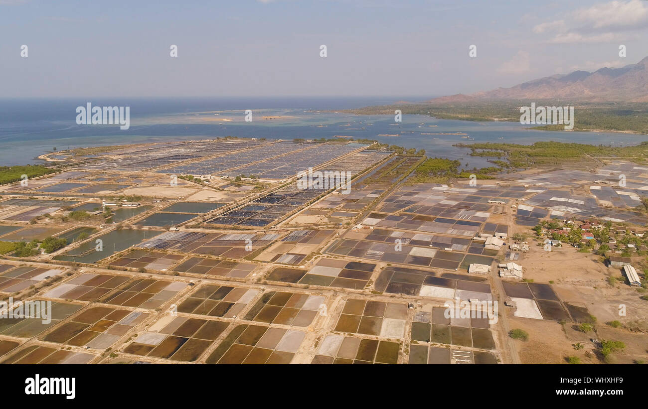 shrimp farm, prawn farming with with aerator pump oxygenation water ...