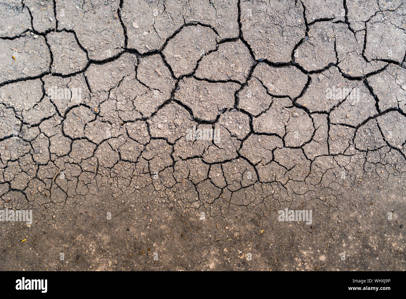 Dry soil after rain is not a long time. Top View Drought Stock Photo ...