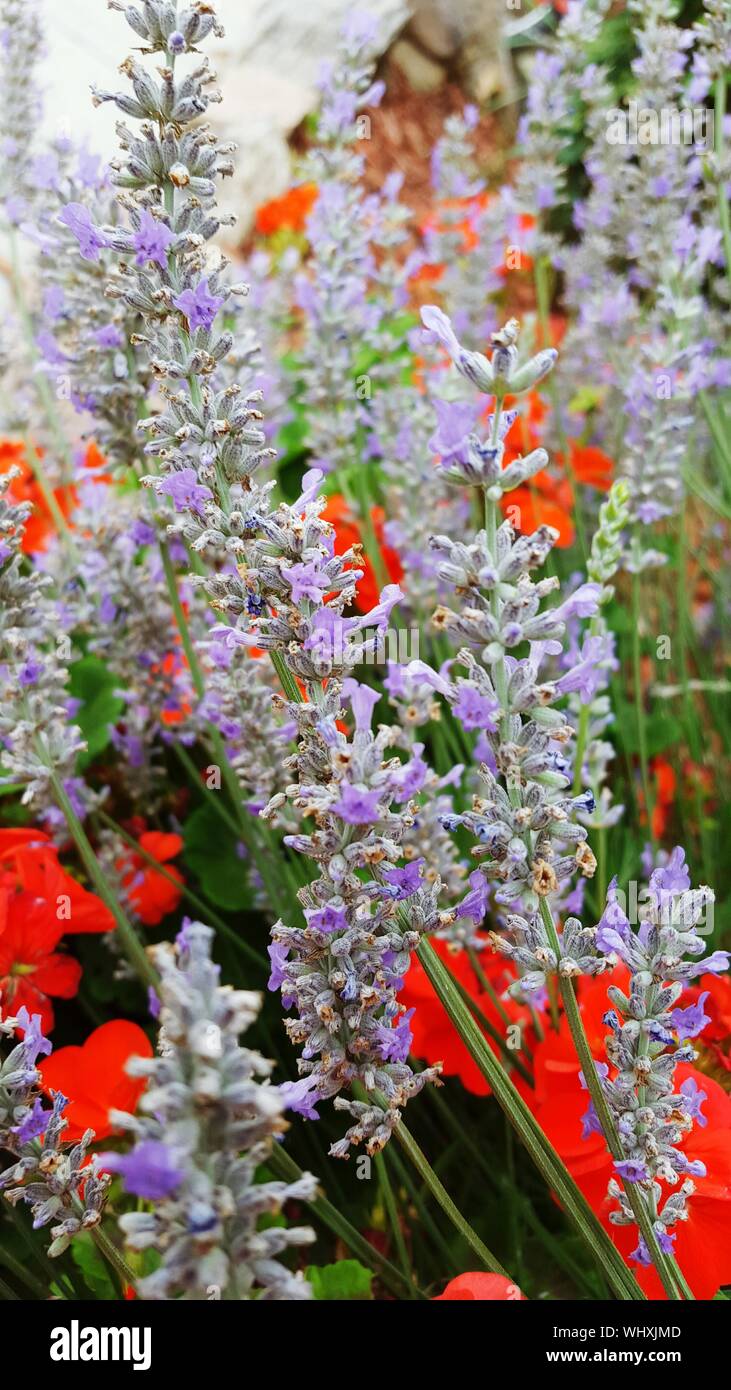 Tilted view hi-res stock photography and images - Alamy