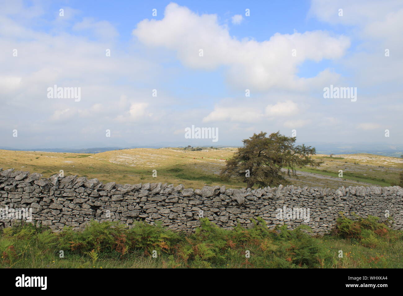 Whitbarrow scar hi-res stock photography and images - Alamy