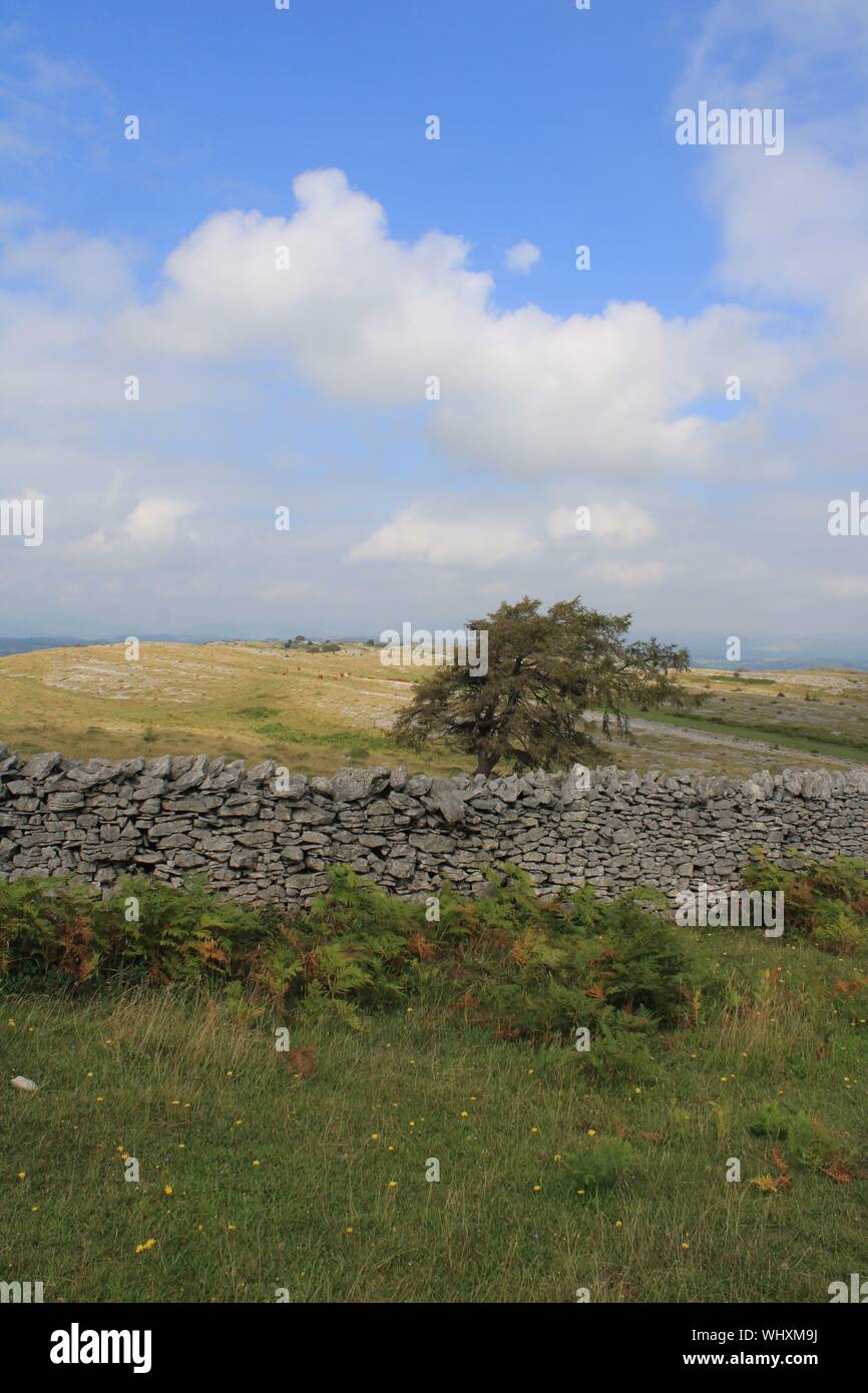 Whitbarrow scar hi-res stock photography and images - Alamy