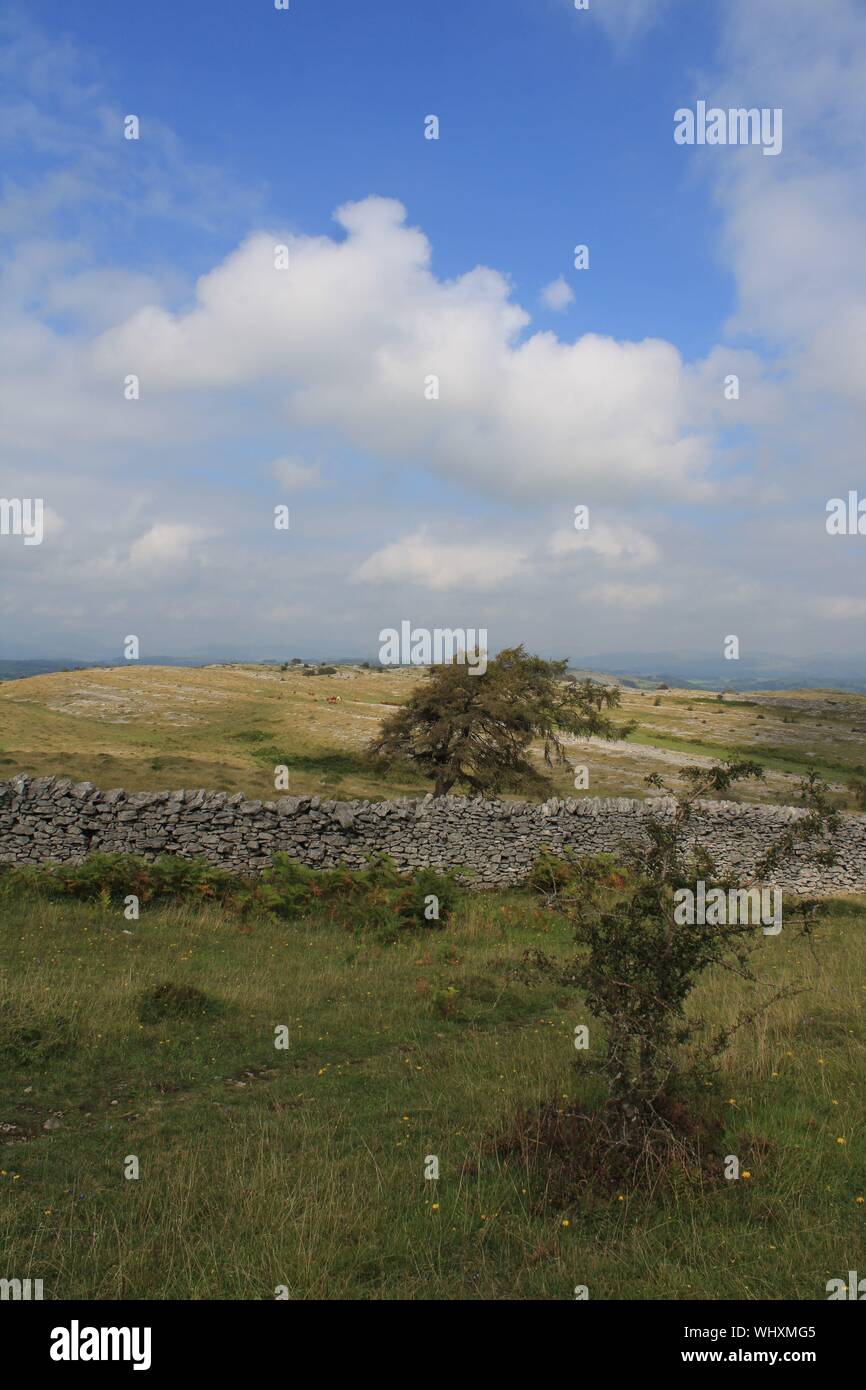 Whitbarrow scar hi-res stock photography and images - Alamy
