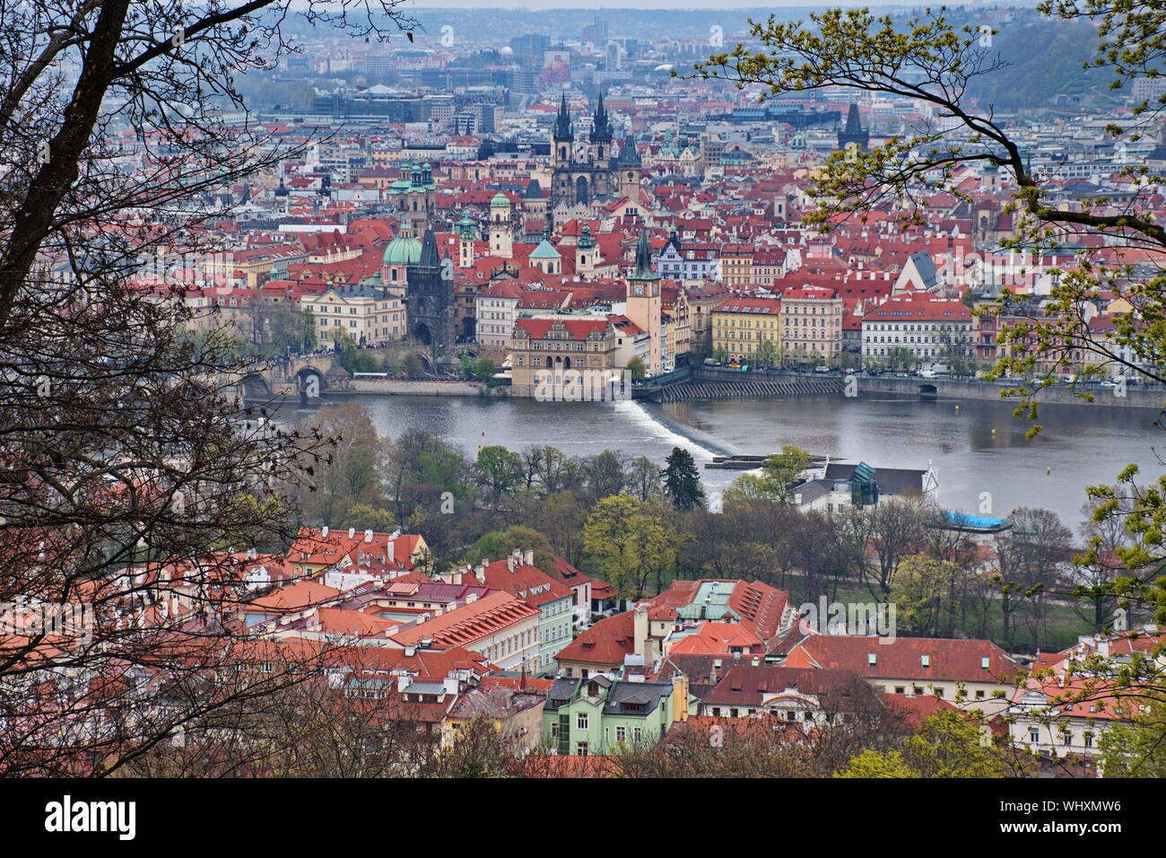 Cityscape of Prague with Vltava river through the trees of Vrtba ...