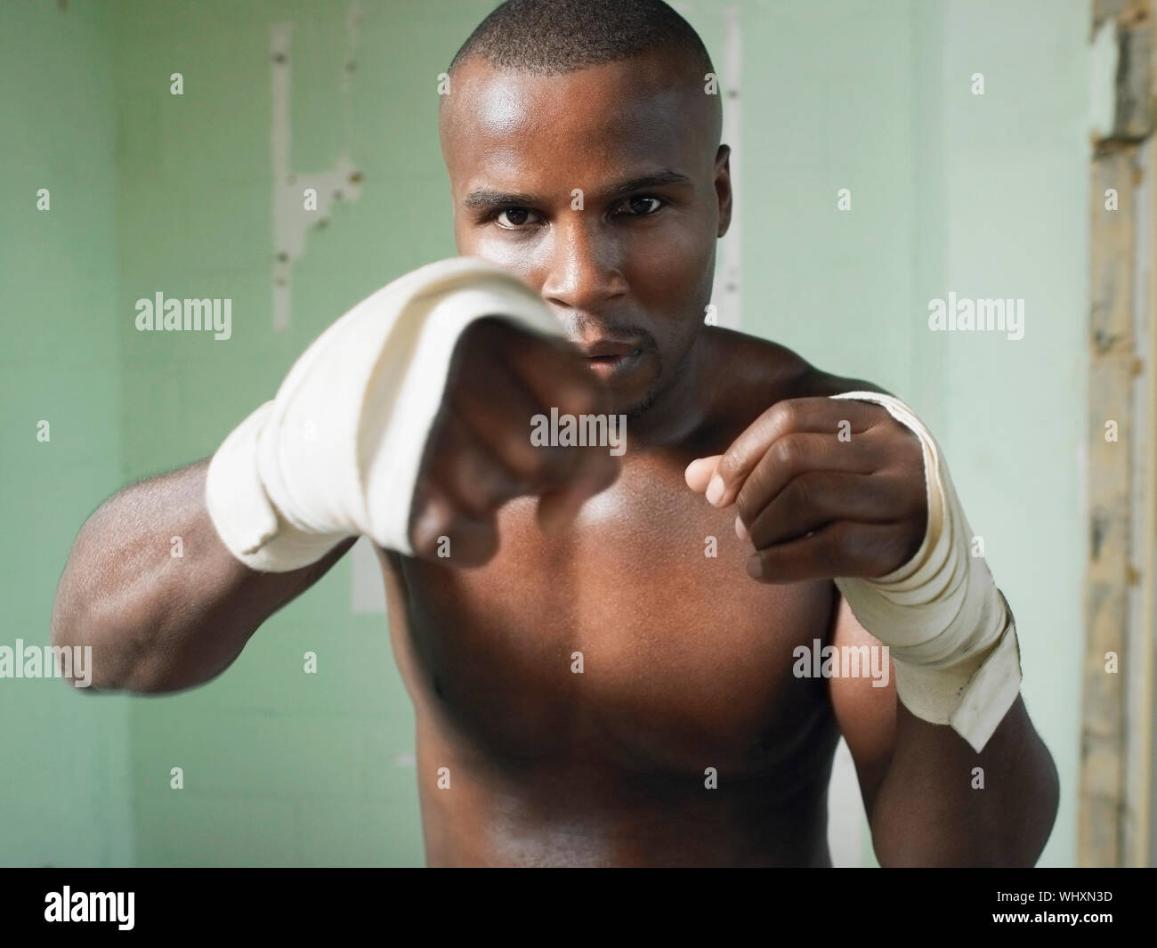 Portrait of a bare chested African American boxer against green wall ...
