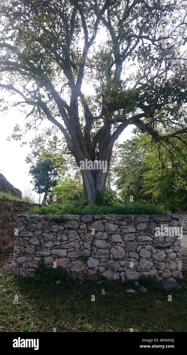 Old stone block hi-res stock photography and images - Alamy