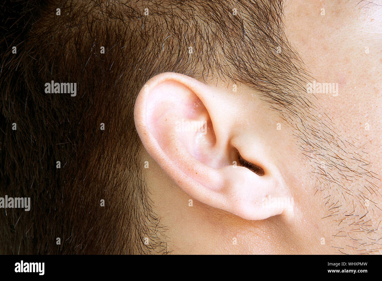 Ear man hi-res stock photography and images - Alamy