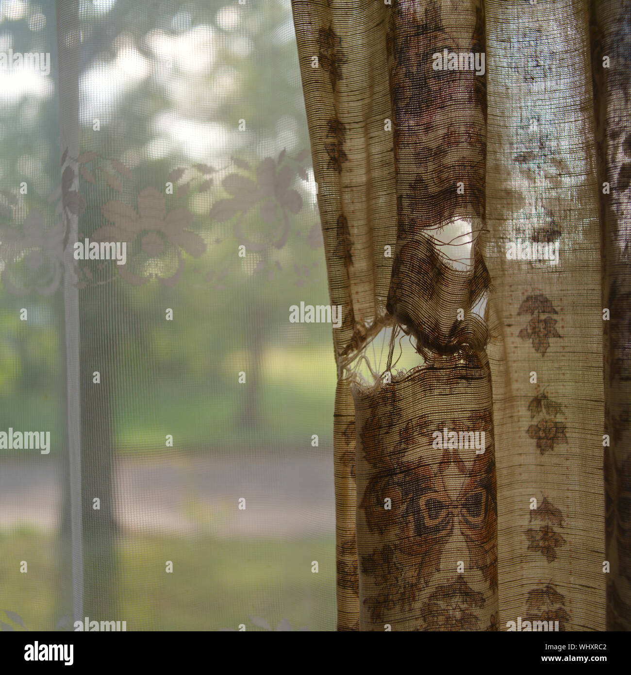 Torn curtain hanging on the window, indoor close-up Stock Photo - Alamy