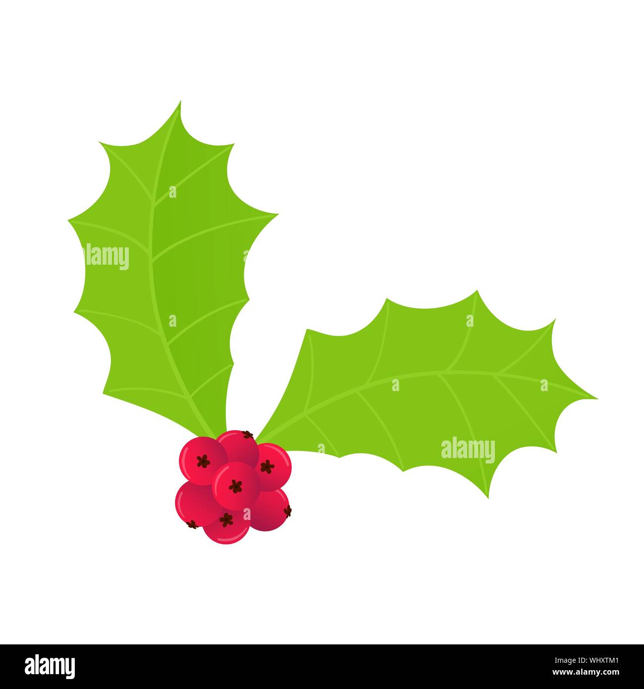 Winter and holiday symbol - holly berries icon sign. Green leaves and ...