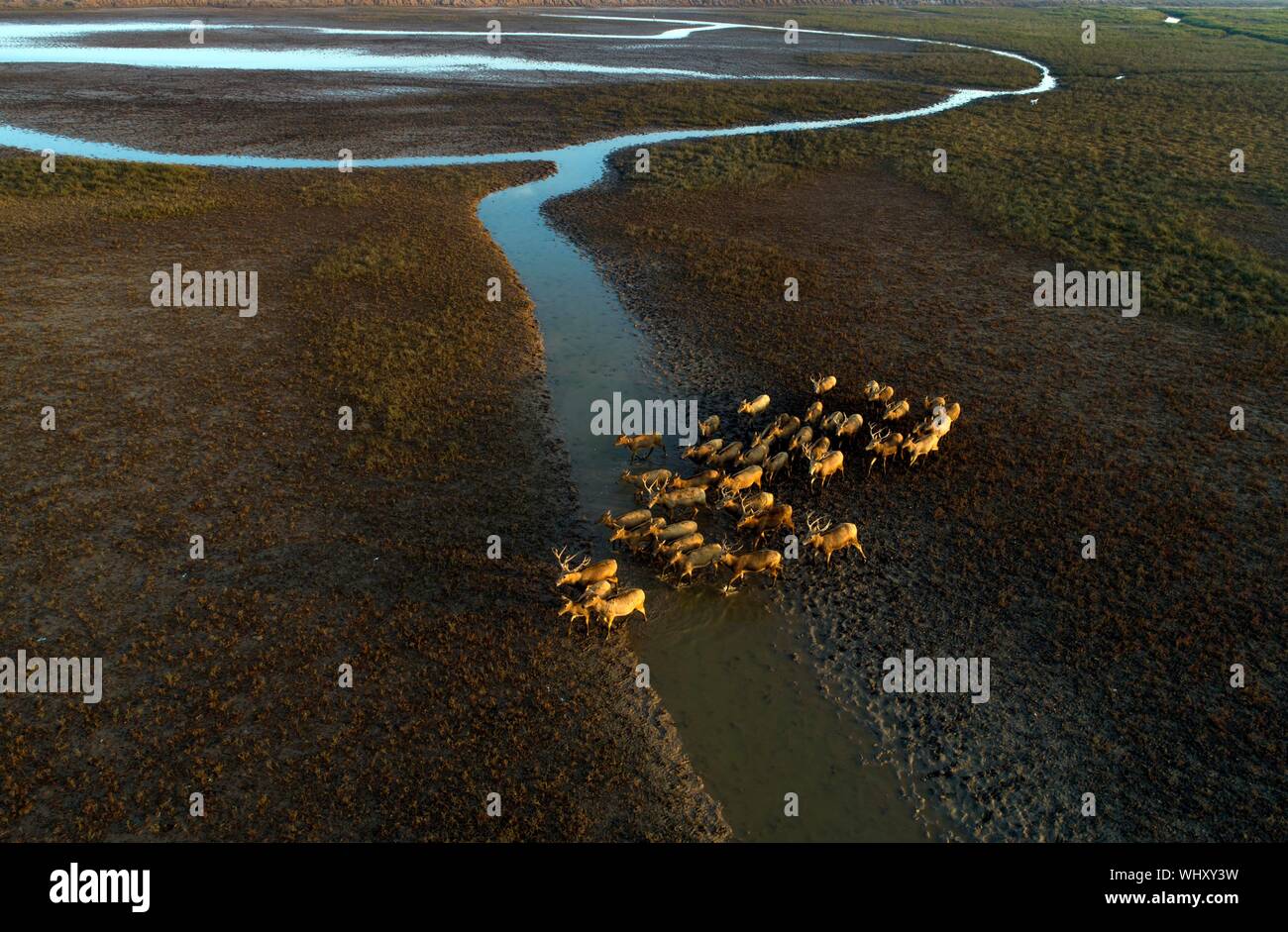 3 forests way hi-res stock photography and images - Alamy