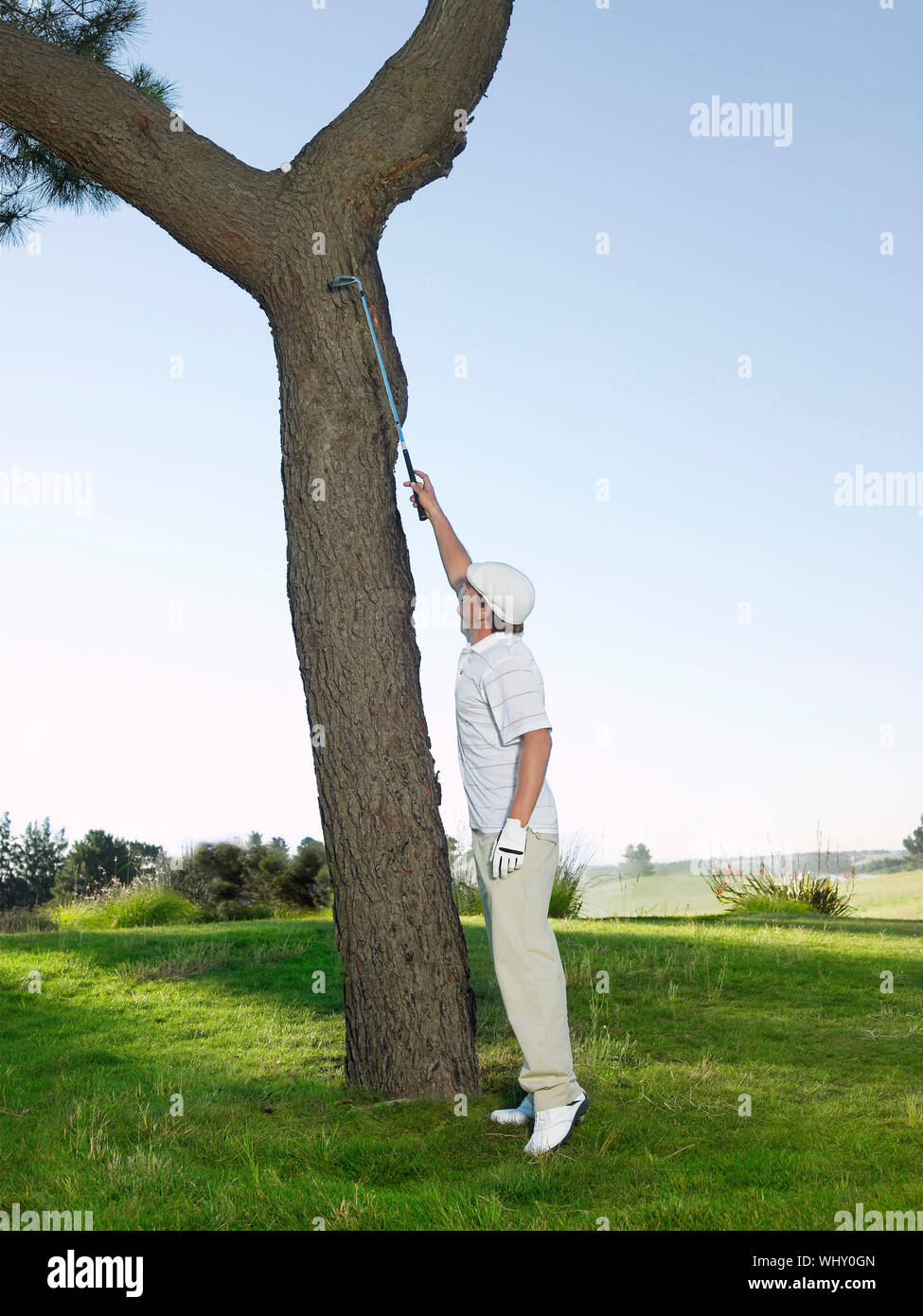 Side view of young male golfer retrieving ball from tree Stock Photo ...