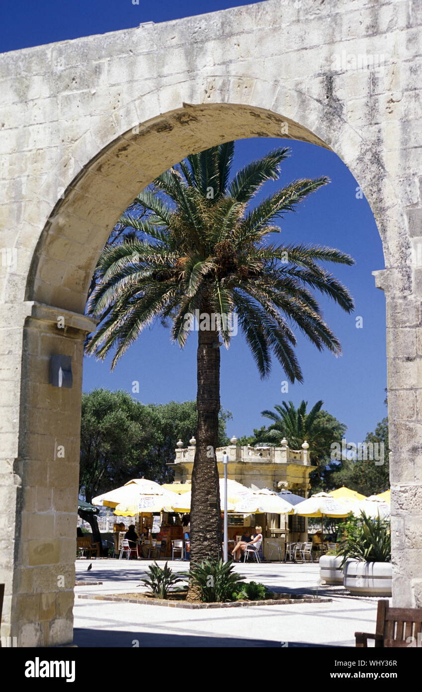 Tree arched hi-res stock photography and images - Alamy