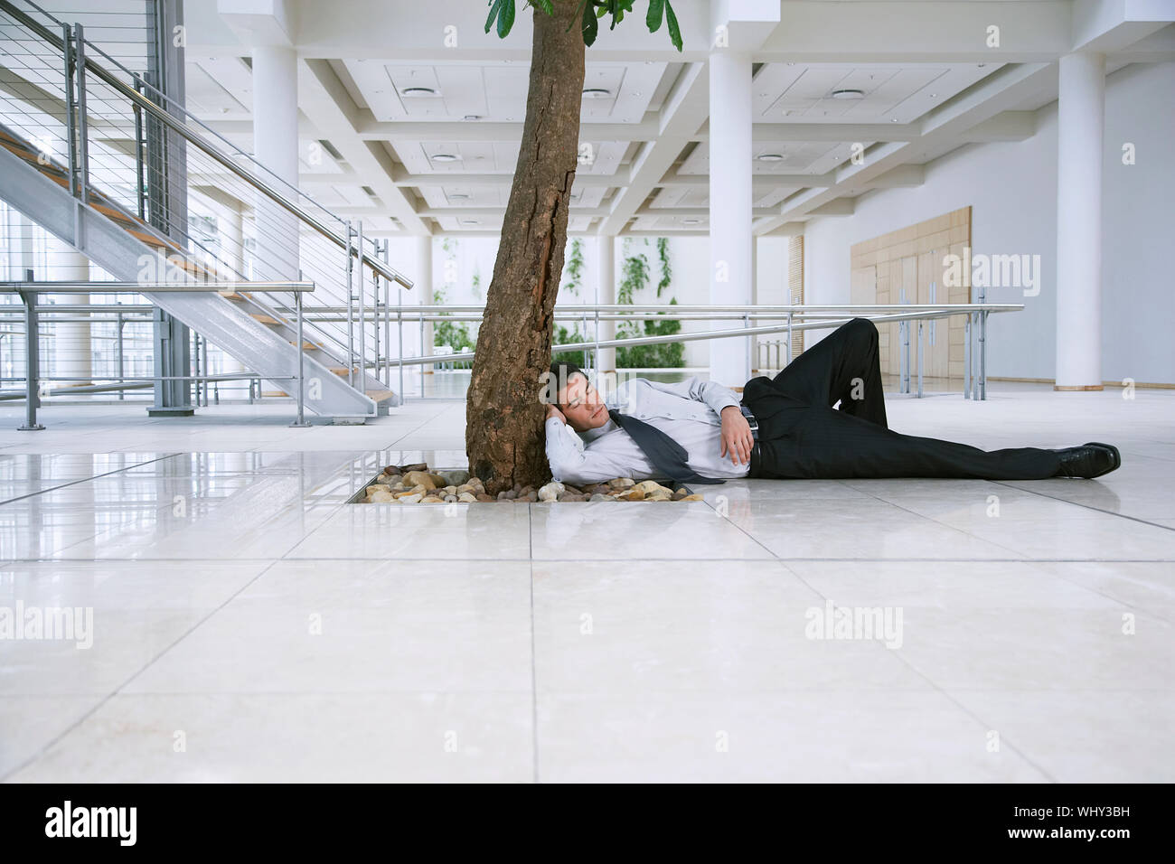 Full length of young businessman resting under tree in office Stock ...