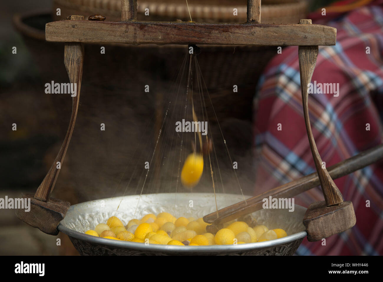 Boiling The Cocoons High Resolution Stock Photography and Images - Alamy