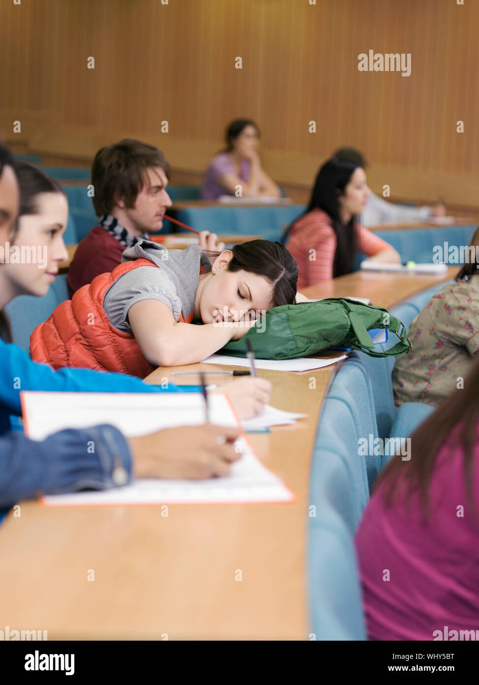 Side view of a group of multiethnic students in lecture room Stock ...