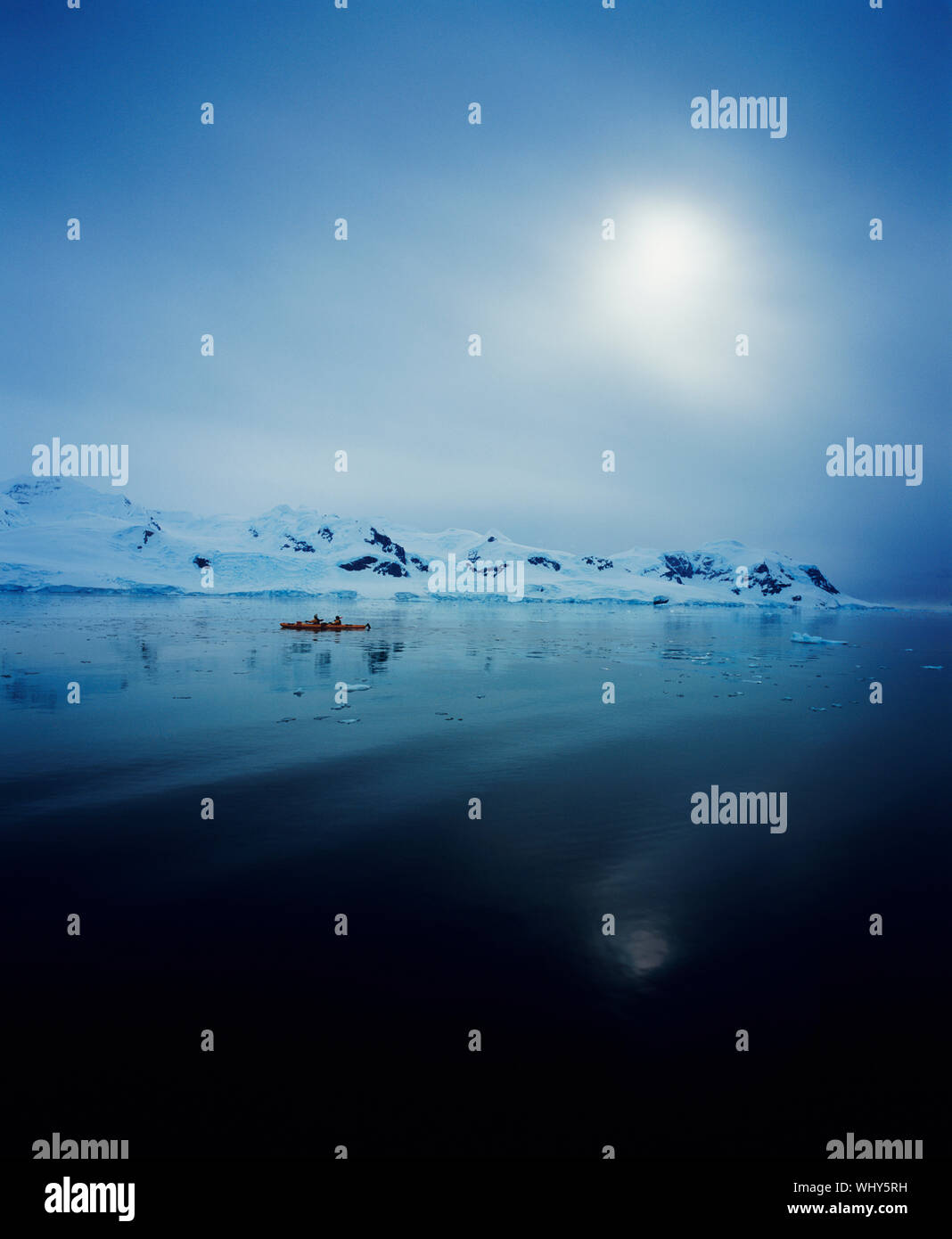 Antarctica antarctic peninsula hope bay hi-res stock photography and ...