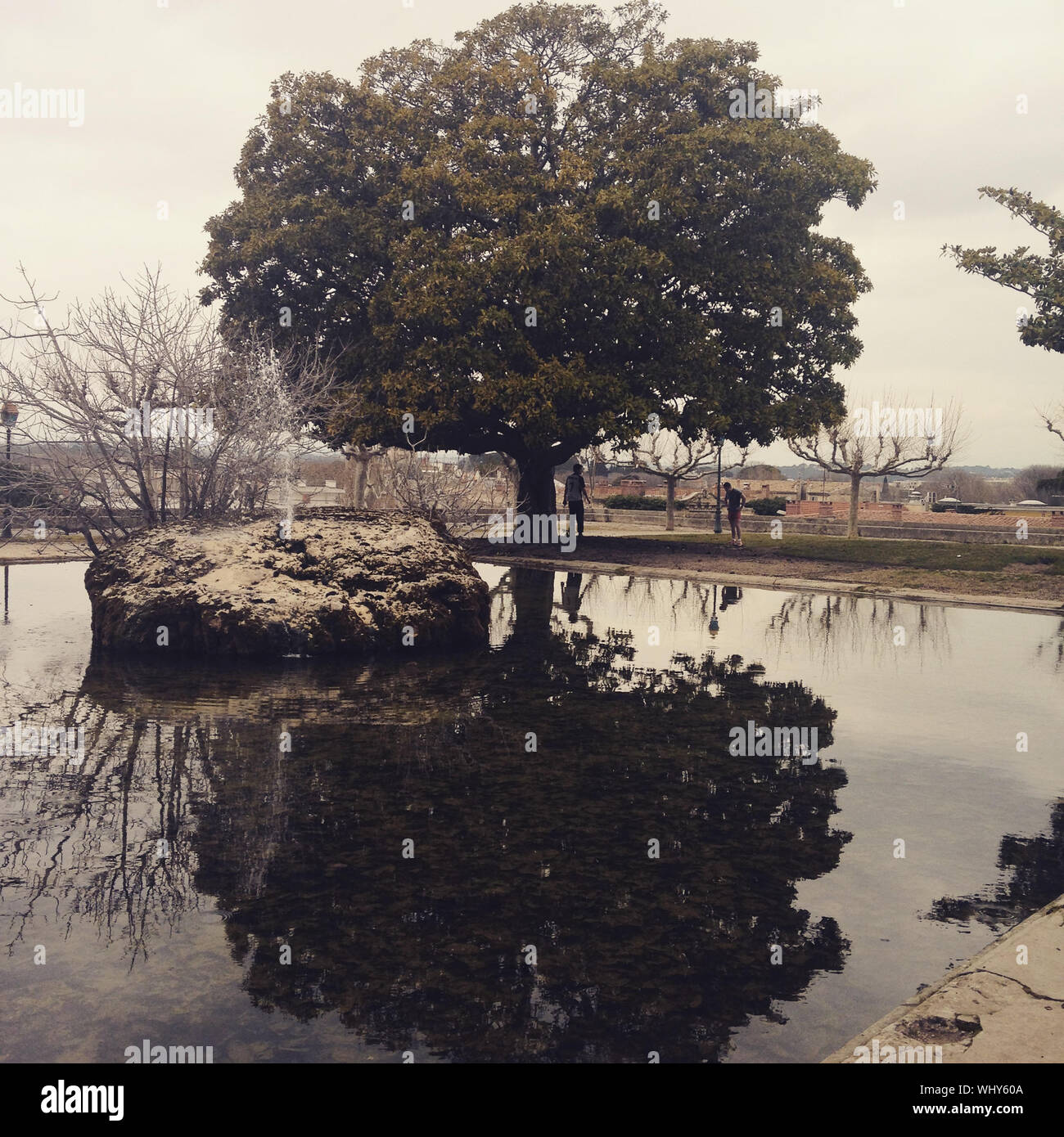 Tree reflection hi-res stock photography and images - Alamy