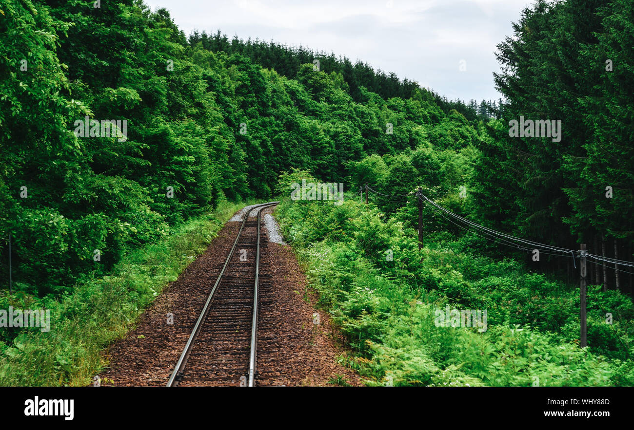 Empty tramway rail tracks with green trees around in Hokkaido, Japan ...