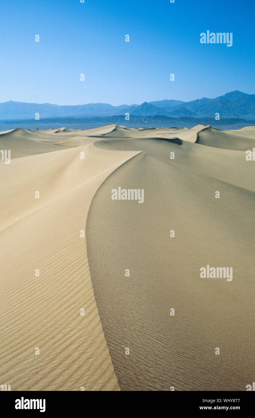 Ridge of sand dune Stock Photo - Alamy