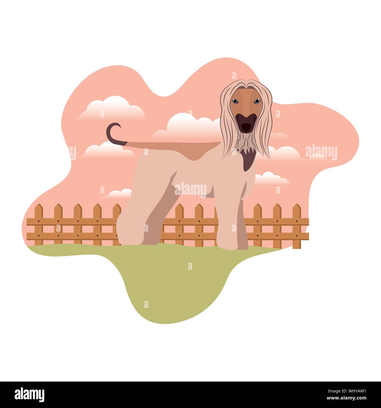 cute galgo afgano dog with background landscape Stock Vector Image ...