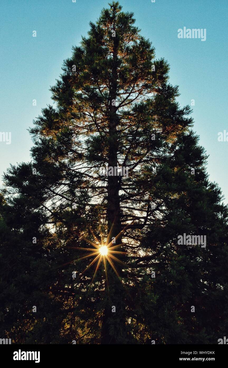 With its gleaming hi-res stock photography and images - Alamy