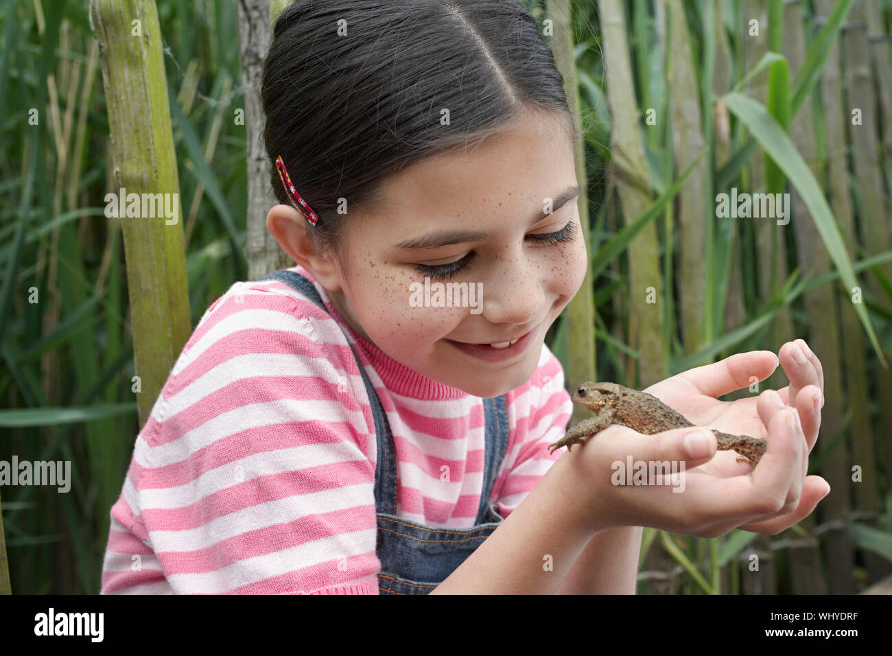 Toddler holding frog hi-res stock photography and images - Alamy