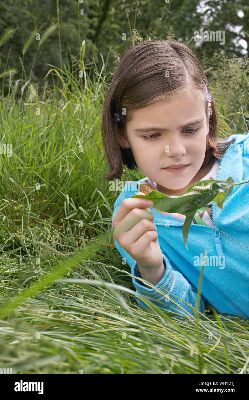 Cute young girl examining caterpillar on leaf outdoors Stock Photo - Alamy
