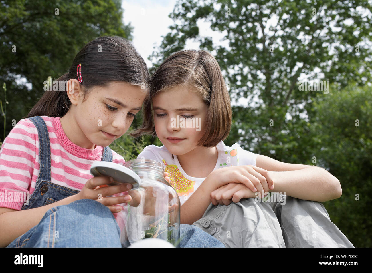 Girls holding insects hi-res stock photography and images - Alamy