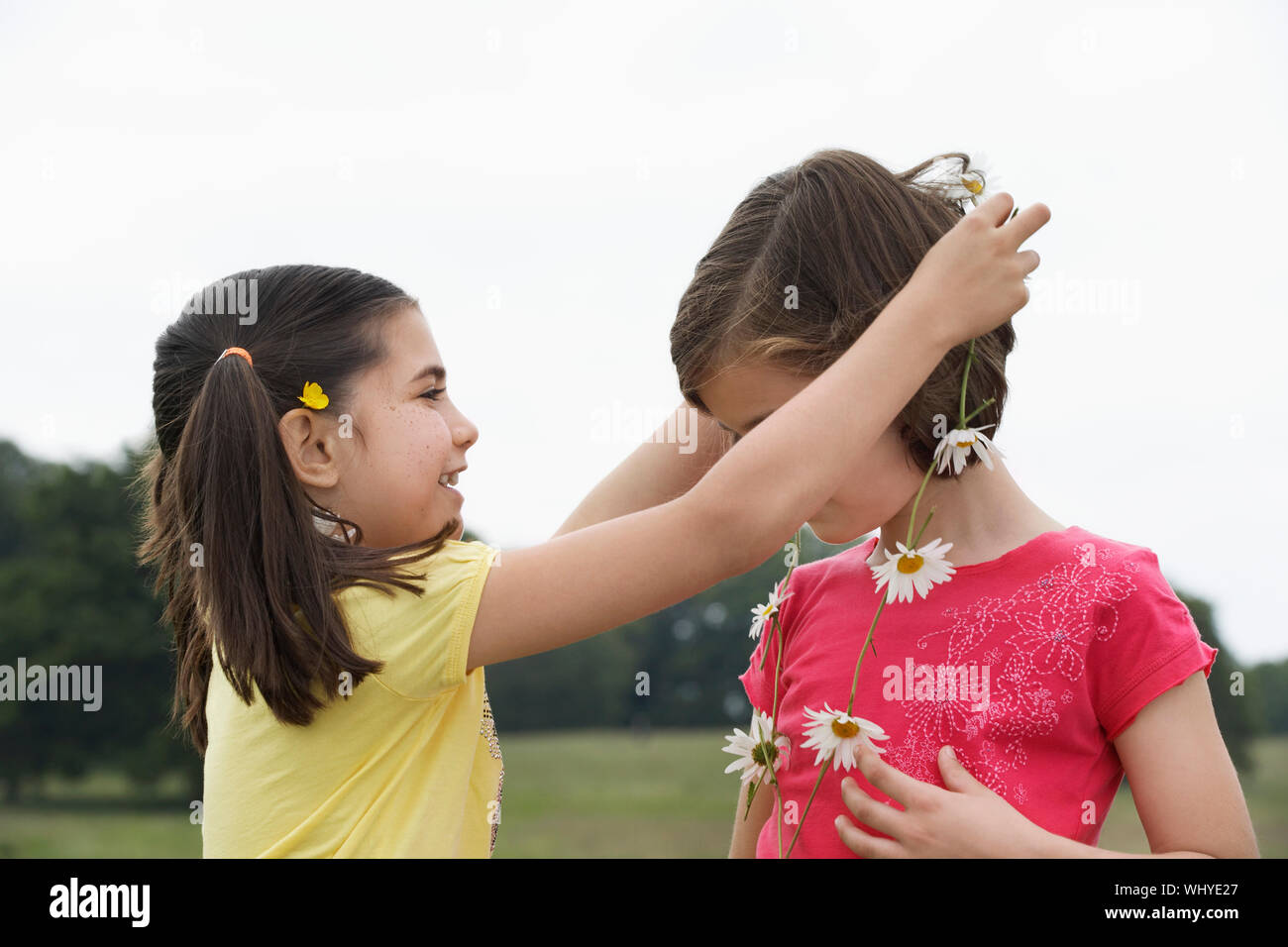 Cute little girl giving friend daisy chain in meadow Stock Photo - Alamy