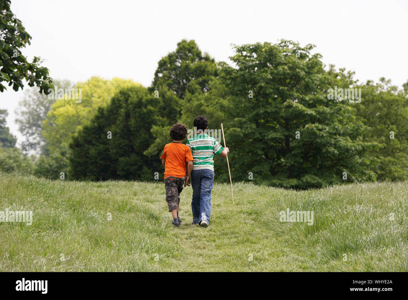 Full length rear view of two brothers walking in field Stock Photo - Alamy